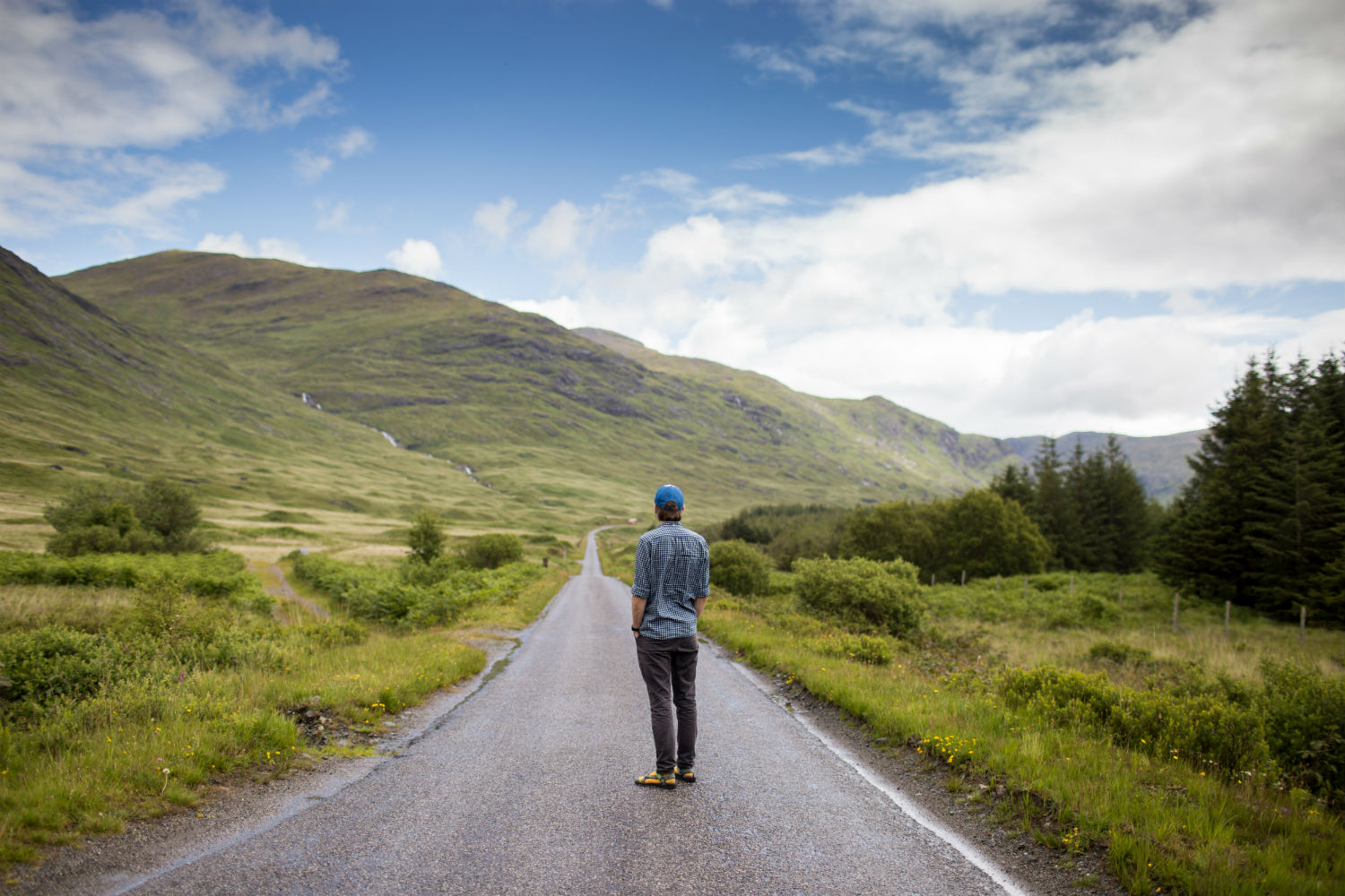 Choose a Path & Move Forward | Bluefin Strategy